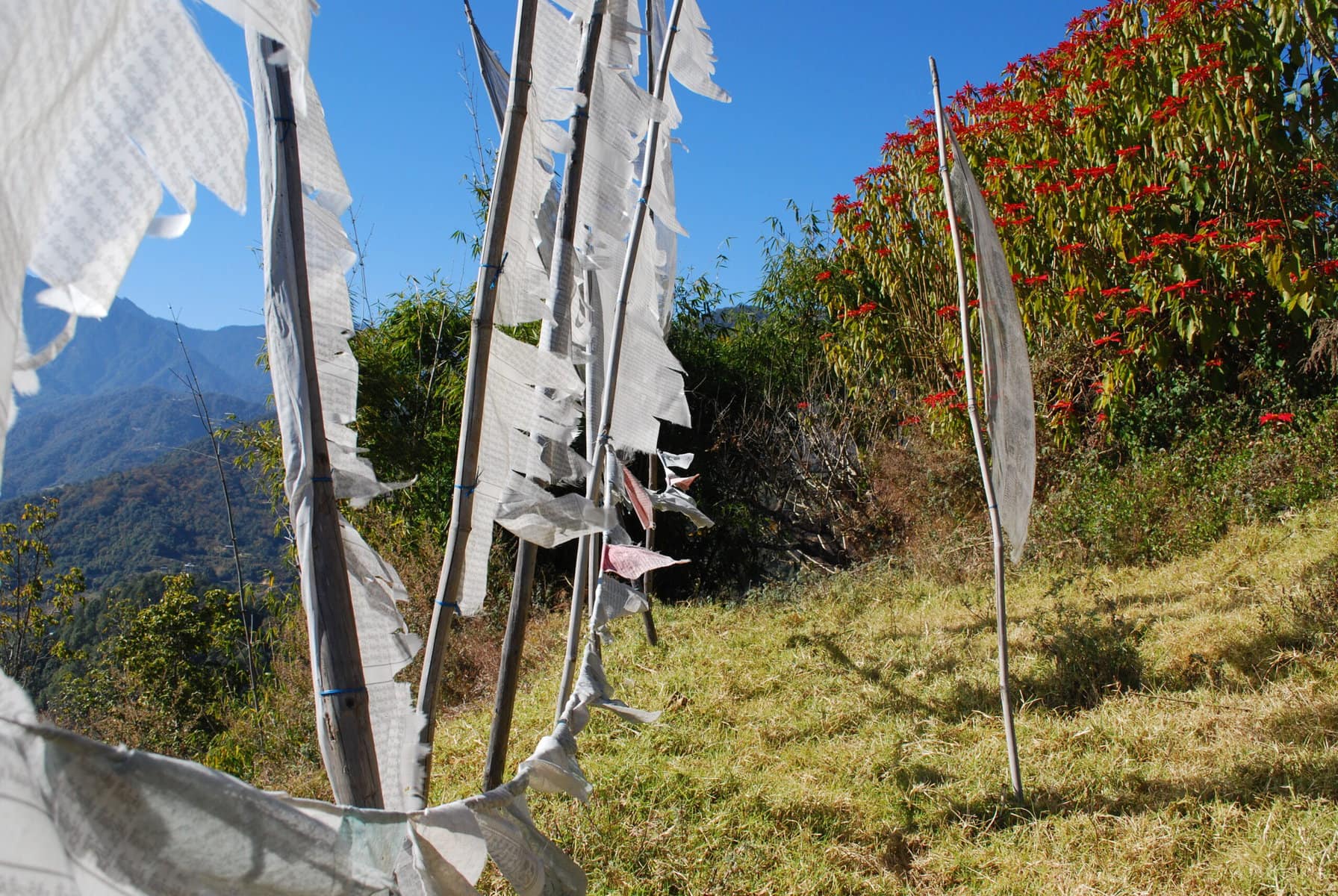 Trans Bhutan Trail - Red Lion Travel